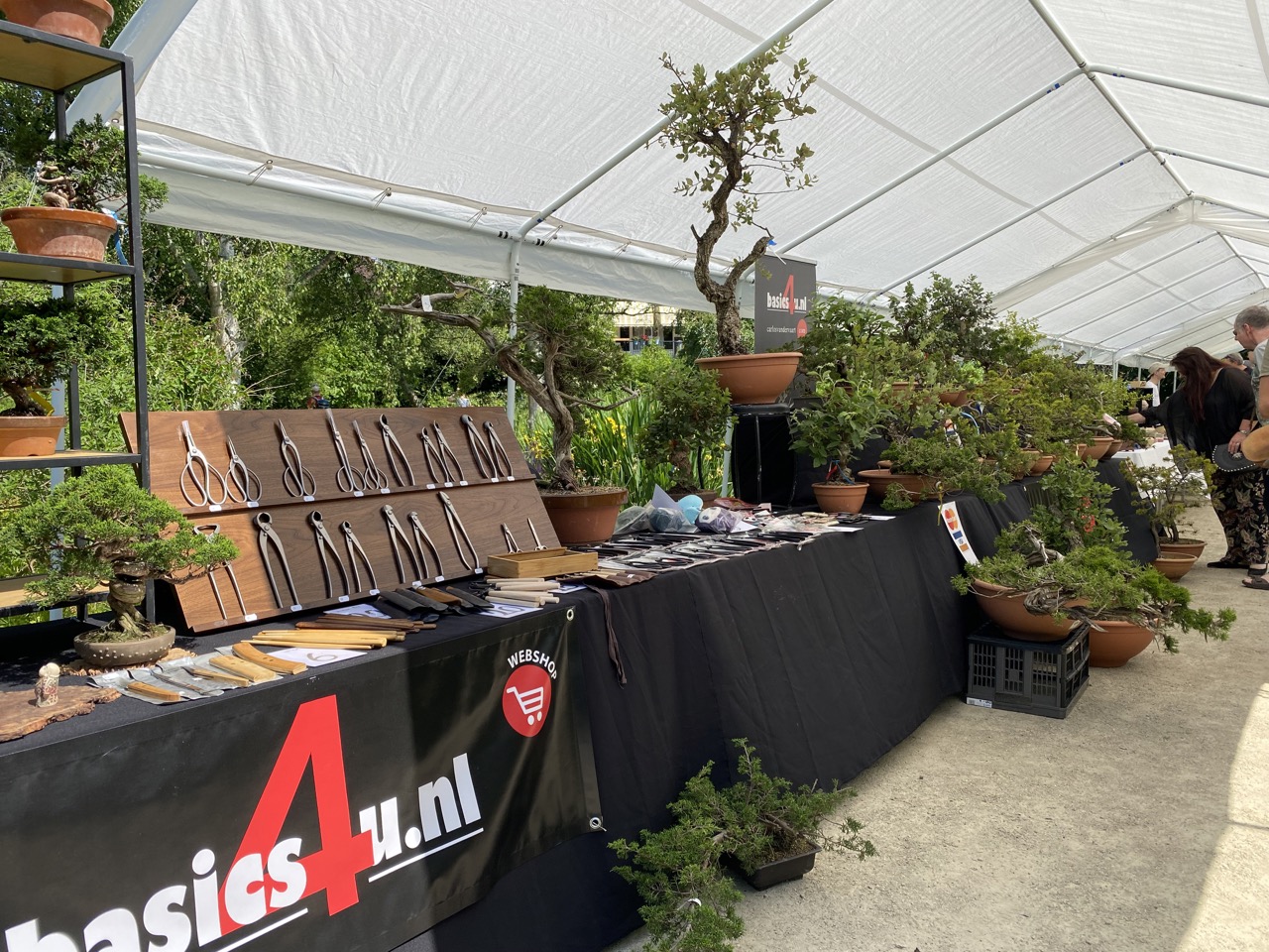 Markt – Bonsai van het Westen